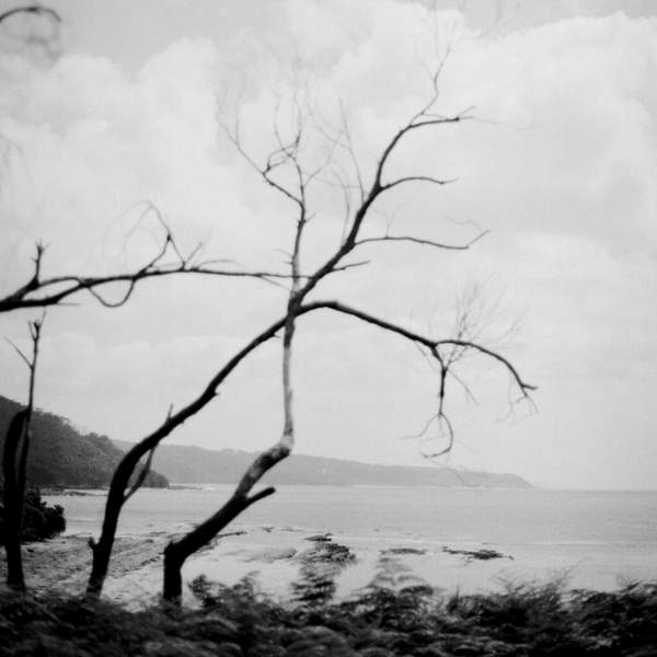 Programs: The Doom Saloon – 13 January 2026, The Doom Saloon — Triple R ...