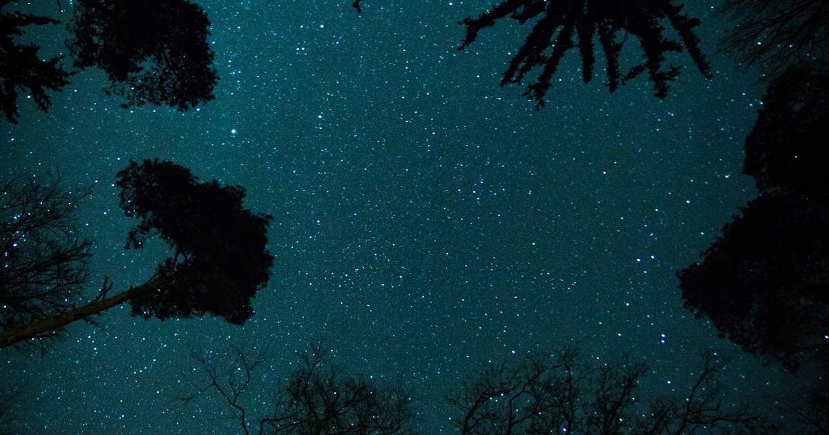 Programs: Graveyard Shift – 24 December 2025, Graveyard Shift — Triple ...