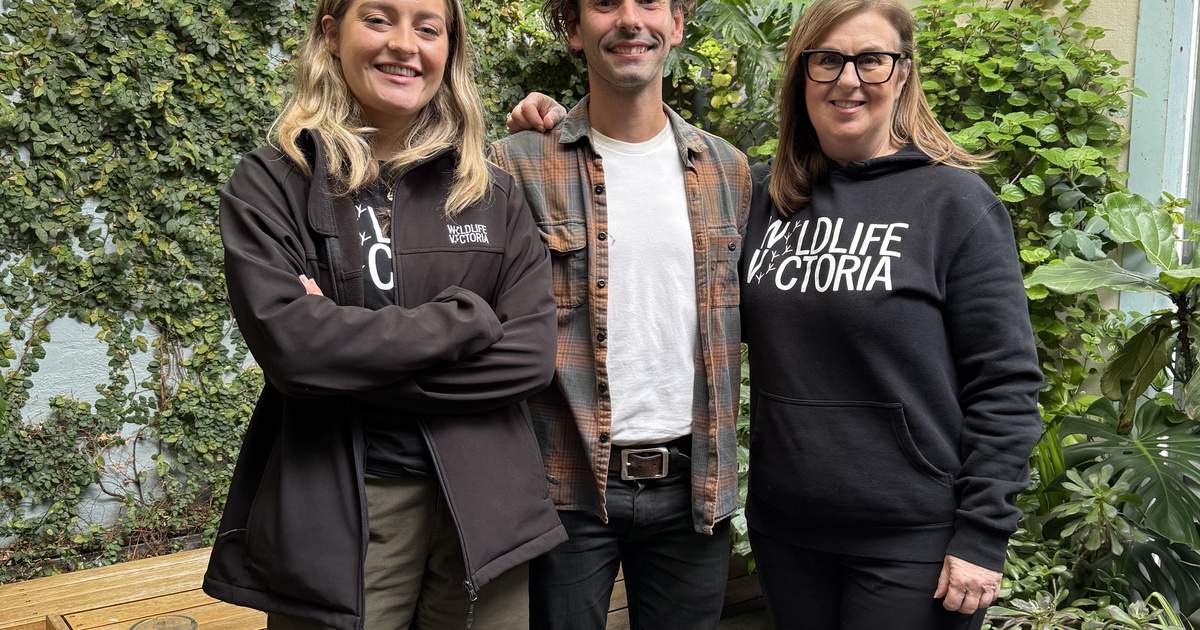 Segments: Future Perfect: A Massive Bat Celebration At BAT MASSIVE ...