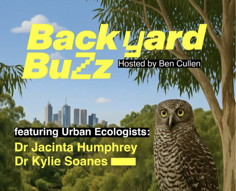Segments: Backyard Buzz: Birds, Habitats & Floating Wetlands — Triple R ...