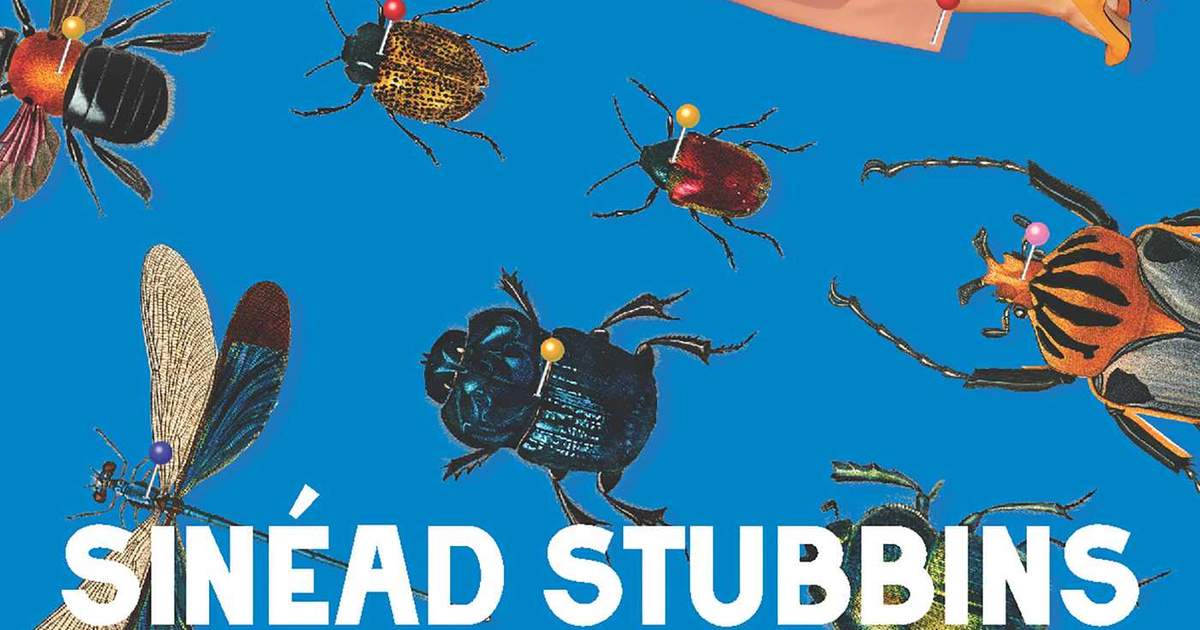 Segments: Literati Glitterati: The Unhinged Story That Is Stinkbug ...