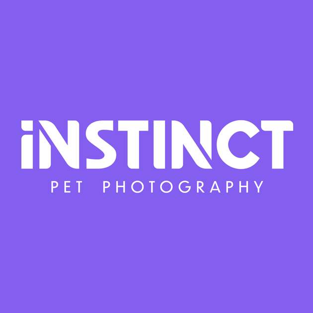 Instinct Pet Photography — Triple R 102.7FM, Melbourne Independent Radio