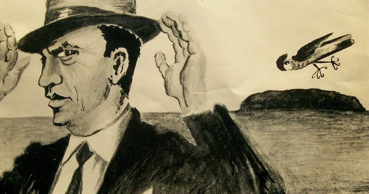 Programs: New & Groovy – 29 January 2025, New & Groovy — Triple R 102 ...